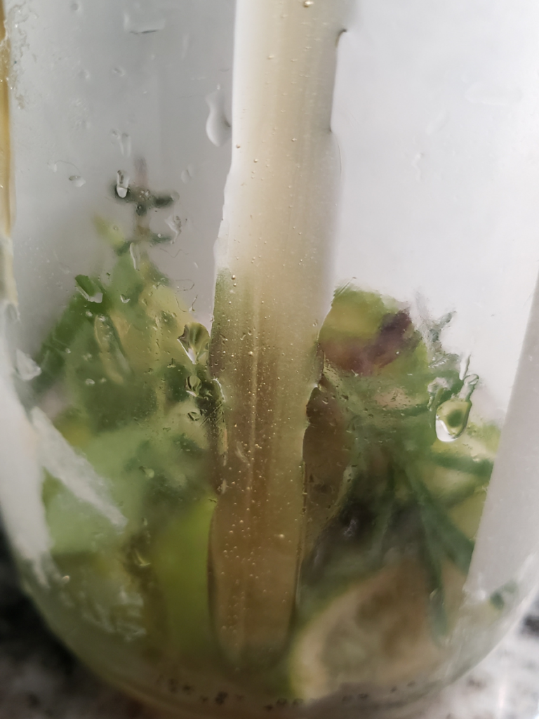 The Best Restorative Honey Lime Water You Will Ever Drink - Adaeze Eats